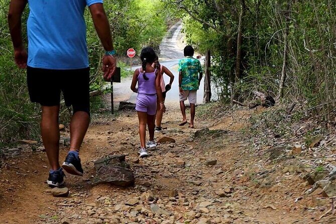 Jeep Tour and Hiking Adventure A Thrilling Experience - Who Will Love This Tour?