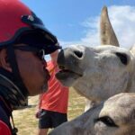 Jeep Wrangler Jk Hardtop 4 door - The Itinerary and What You Can Expect