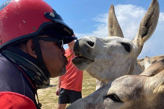 Jeep Wrangler Jk Hardtop 4 door - The Itinerary and What You Can Expect