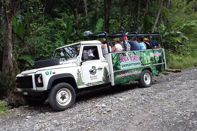 Jeep & Zipline Adventure in St. Lucia - What Travelers Say