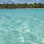 Juan Dolio: Saona Island Day Trip with Lunch & Open Bar - What Travelers Say: Authentic Perspectives