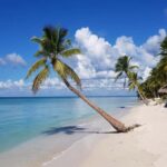 Juan Dolio: Saona Island Full-Day Tour with Catamaran Ride - What to Expect and What to Keep in Mind