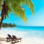Juan Dolio: Saona Island Full-Day Tour with Lunch and Drinks - Who Will Love This Tour?