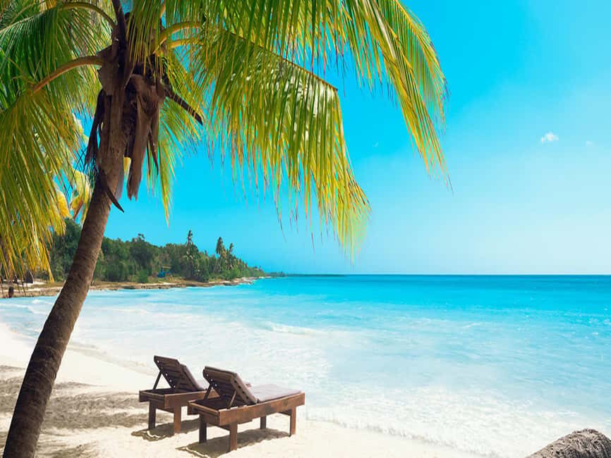 Juan Dolio: Saona Island Full-Day Tour with Lunch and Drinks - Who Will Love This Tour?