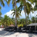 Juan Dolio: Saona Island Full-Day Tour with Lunch & Drinks - The Bottom Line: Who Is This Tour For?
