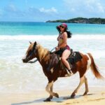 Jungle and Beach Horse Ridding round trip transportatin. - The Reviews and What They Tell Us