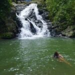 Jungle and Waterfall Adventure - What Reviewers Say