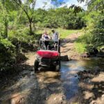 Jungle bikes Dune Buggy - What Makes This Tour Stand Out?