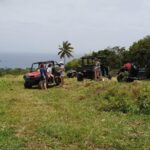 Jungle Bikes Dune Buggy & Beach Tours in St Kitts - Who Is This Tour Best For?