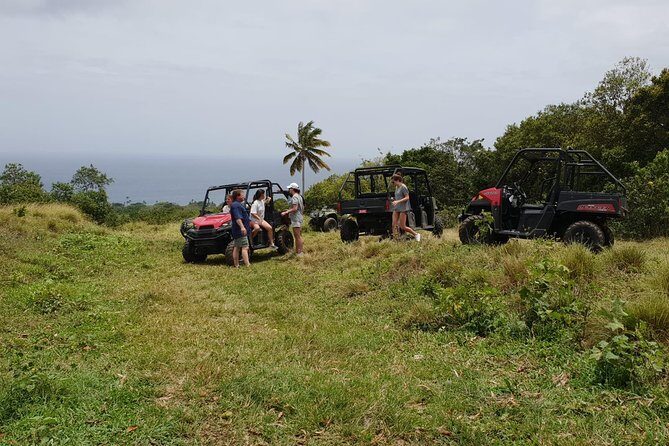 Jungle Bikes Dune Buggy & Beach Tours in St Kitts - Who Is This Tour Best For?