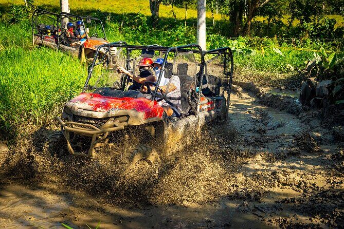 Jungle Buggies and Monkeyland from Punta Cana - Key Points