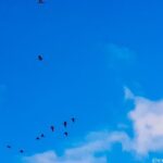 Kayak Adventure in the Second Largest Swamp of Trinidad and Tobago - Final Thoughts – Is It Worth It?