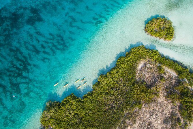 Kayak Eco Tour - Who Should Consider This Tour?