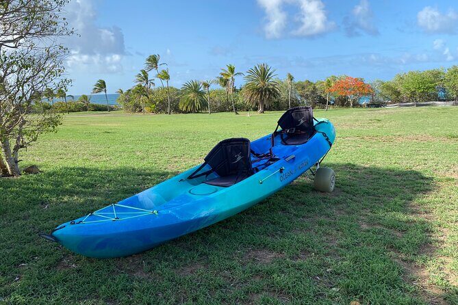 Kayak Rental on Saint Croix - The Sum Up: Is this kayak rental right for you?