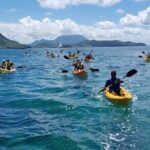 Kayak, Snorkel and Beach Adventure - The Sum Up