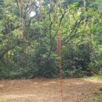 Ken's Panoramic Rainforest Tour - Frequently Asked Questions