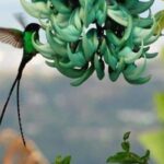 Kingston Blue Mountains Tour with Coffee Tasting - The Itinerary: What to Expect, Step-by-Step