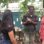 Kingston City Tour (starting in Kingston) - Trench Town: Roots of Reggae and Music