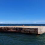 Kingston Jamaica Experience with lunch - What You’ll See and Do: A Step-by-Step Breakdown