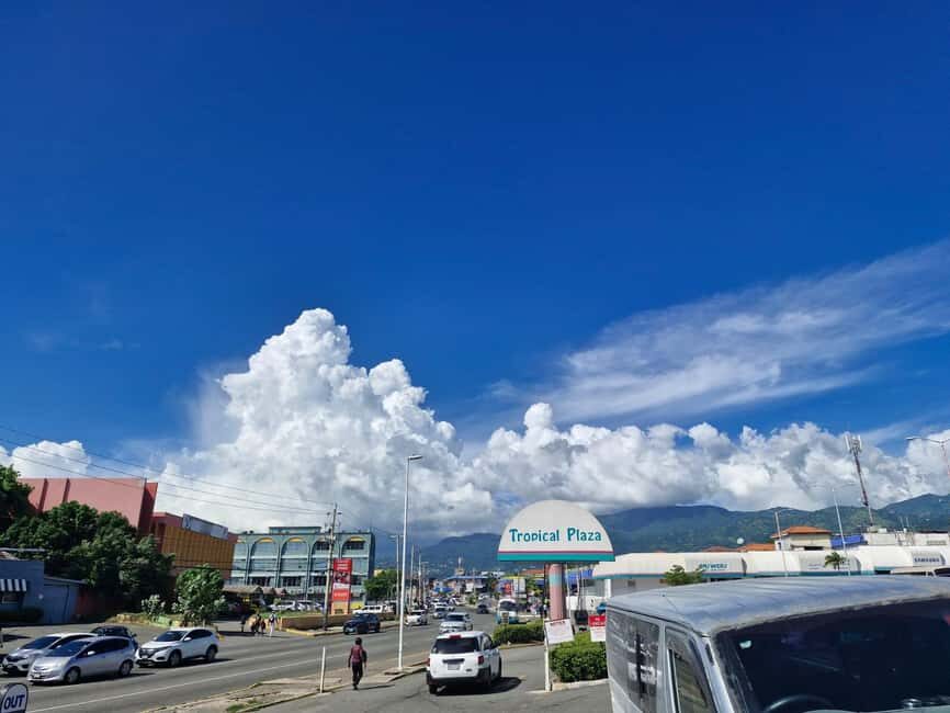 Kingston like a local  the authentic city tour - What’s Included and Practical Details