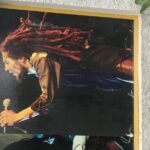 Kingston Tour to Bob Marley Museum and Devon House - What Makes This Tour Valuable