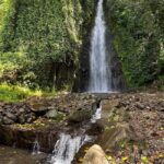 Kingstown: Cascading Dark View Falls and Beach Tour - The Practical Side: Transportation, Duration, and Costs