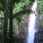 Kingstown: Dark View Falls Tour with Pickup - Value and Practicalities