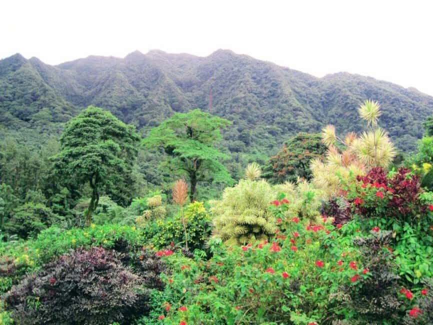 Kingstown: Montreal Gardens and Belmont Lookout Tour - The Practical Side: What to Know