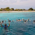 Klein Bonaire Marine Park Snorkeling Excursion - The Sum Up: Why This Tour Is a Great Choice