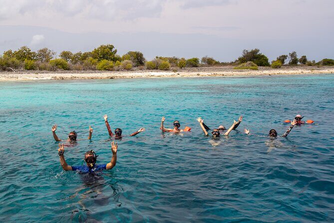 Klein Bonaire Marine Park Snorkeling Excursion - The Sum Up: Why This Tour Is a Great Choice