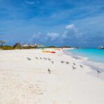 Klein Curacao Sunset Cruise with Open Bar and BBQ - The Itinerary in Detail