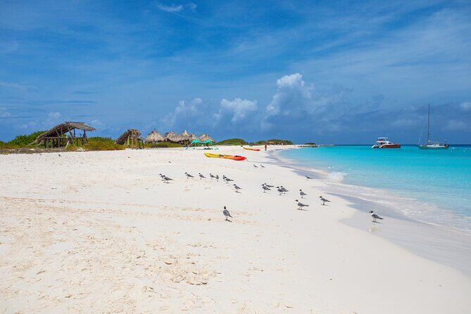 Klein Curacao Sunset Cruise with Open Bar and BBQ - The Itinerary in Detail