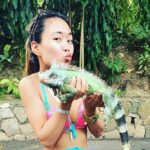 Konoko Falls and Garden Tour from Falmouth - Why Choose This Tour?