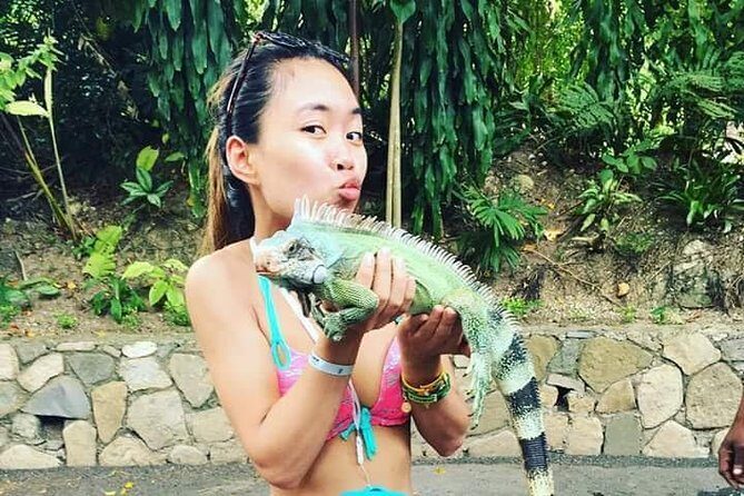 Konoko Falls and Garden Tour from Falmouth - Why Choose This Tour?