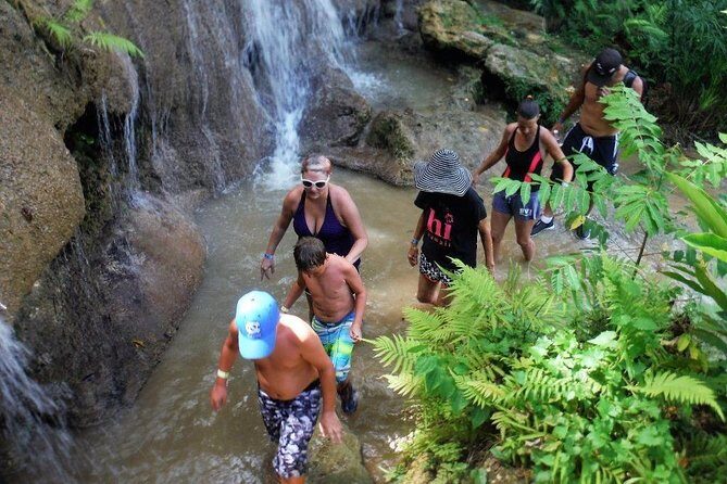 Konoko Falls and Park Private Tour with Hotel Pickup - An In-Depth Look at the Tour