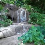 Konoko Falls and Tropical Garden Tour from Ocho Rios - Price and Value Analysis