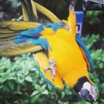 Konoko Falls & Park Private Transportation - What Could Be Better?