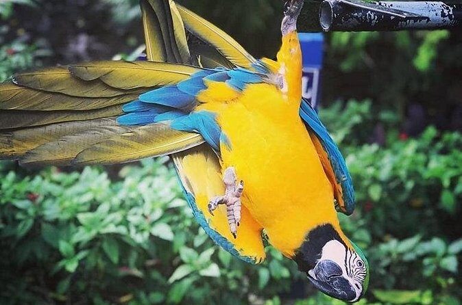 Konoko Falls & Park Private Transportation - What Could Be Better?