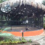 konoko waterfall and zoo - Why This Tour Works