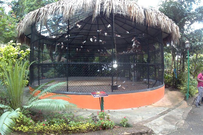 konoko waterfall and zoo - Why This Tour Works