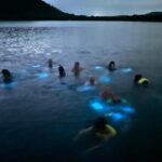 La Parguera Bio Bay Boat Ride and Swimming w/ San Juan Transport - What to Expect Based on Guest Feedback