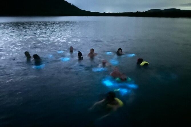 La Parguera Bio Bay Boat Ride and Swimming w/ San Juan Transport - What to Expect Based on Guest Feedback