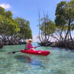 La Parguera Boat Charter with Captain: Kayak & Snorkel - Authentic Feedback from Travelers