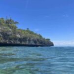 La Romana: Saona Island Tour with Lunch for Mein Schiff - Transportation, Group Size, and Price