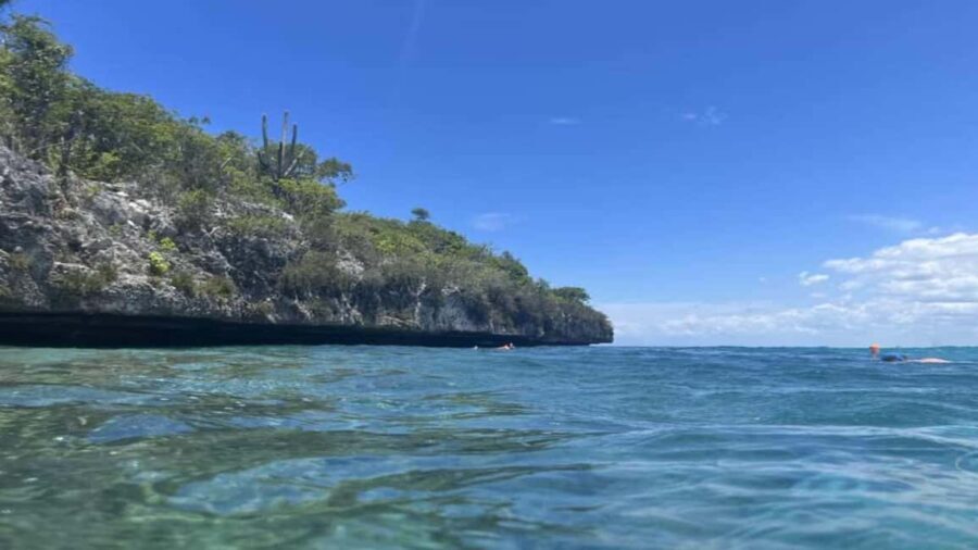 La Romana: Saona Island Tour with Lunch for Mein Schiff - Transportation, Group Size, and Price