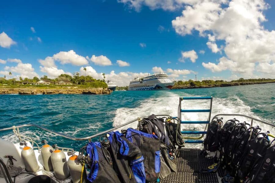 La Romana: Scuba Diving in Catalina Island - A Detailed Breakdown of the Experience
