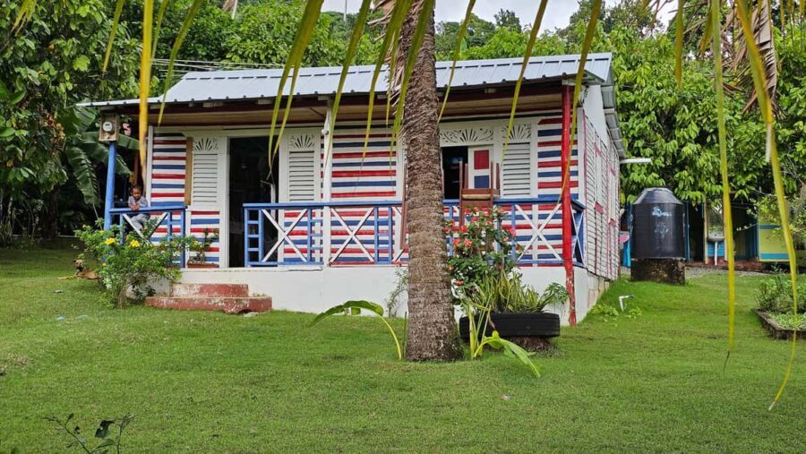 "Land & People" Individual Full Day Tour - from/to Bávaro/Punta Cana - Anamuya: The Farm and Authentic Dominican Life