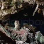 Las Galeras: Private Playa Frontón & Playa Madame Boat Tour - Transportation and Comfort