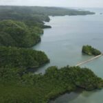 Las Terrenas: Los Haitises Boat and Walking Tour with Lunch - The Experience Provider: Whale Punta Cana