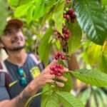Las Terrenas: Private Coffee Trail ATV Tour in Samana - Visiting a Traditional Mountain Farm